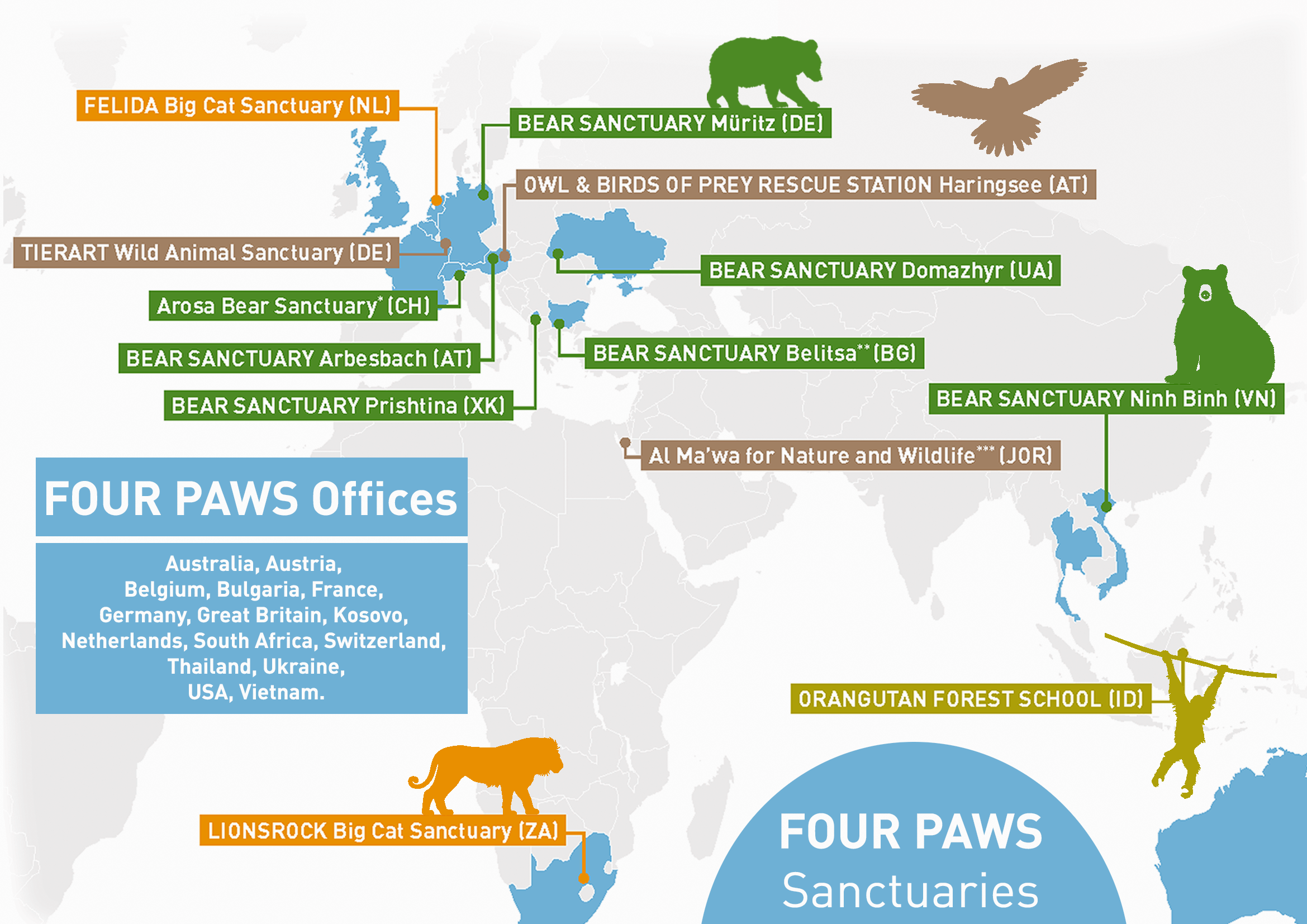 Join the IMPACT CLUB | FOUR PAWS INT