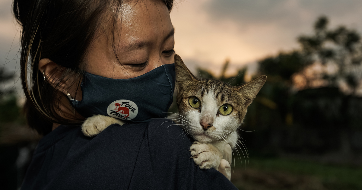 Emergency Disaster Relief | FOUR PAWS Int. | Donate now