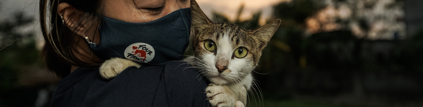 Emergency Disaster Relief | FOUR PAWS Int. | Donate now